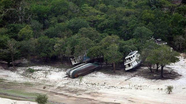 El riesgo de sequía en el Amazonas es superior a las proyecciones del IPCC