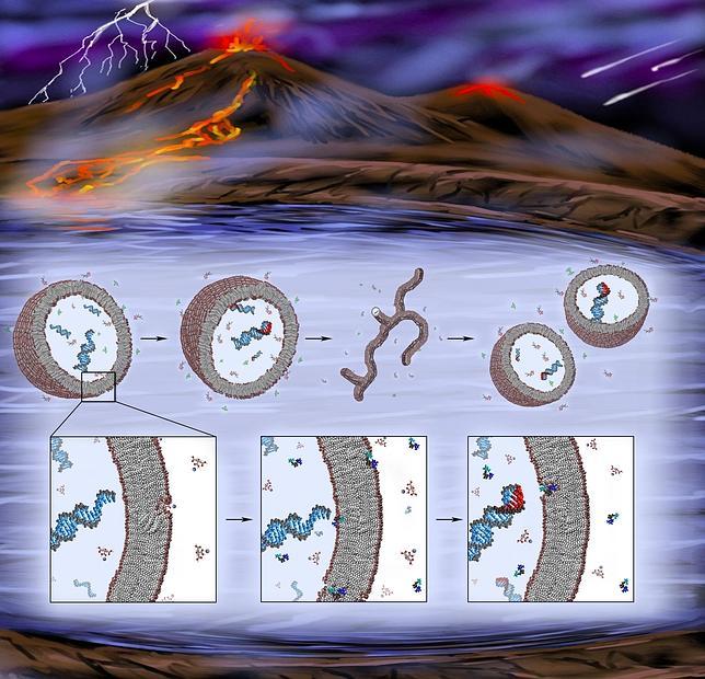 Logran recrear las primeras células de la Tierra