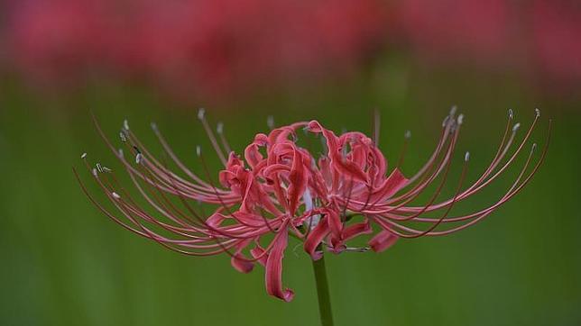 ¿Qué tiempo hará este próximo otoño?