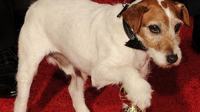 El último papel de Uggie