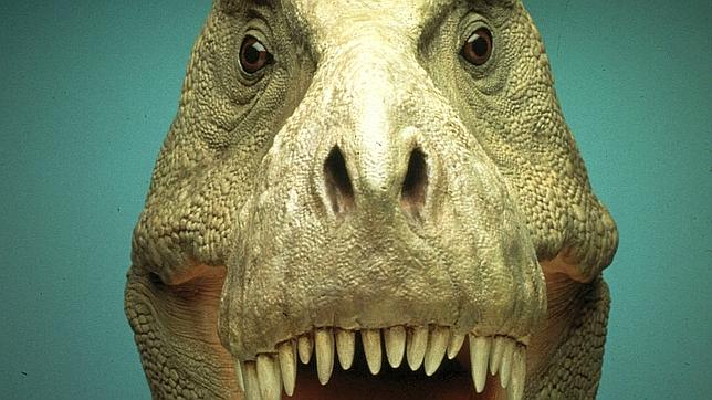 El Tyrannosaurus Rex tenía la mandíbula más potente