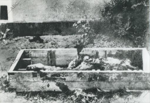 La «prueba decisiva» de la muerte de Hitler - Archivo ABC