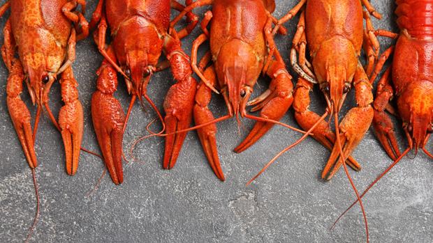 Trucos para cocer el marisco y los moluscos para que queden perfectos