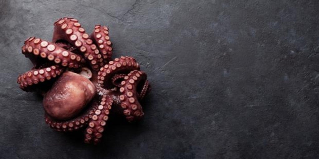 Los beneficios del pulpo: el alimento ligero y nutritivo para ...