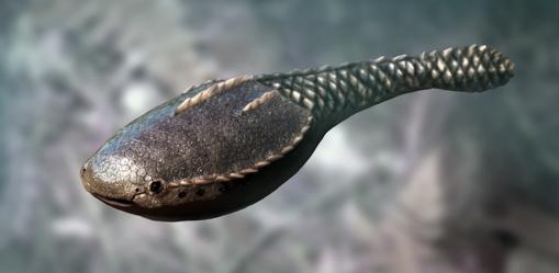 El lugar de la Tierra donde surgieron los primeros peces