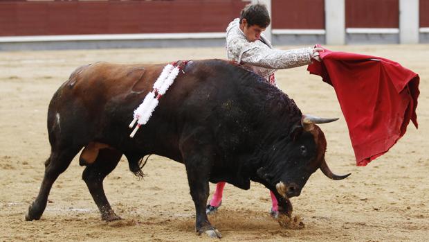 El novillo que no sopló las velas de toro por un día en un espectáculo ...
