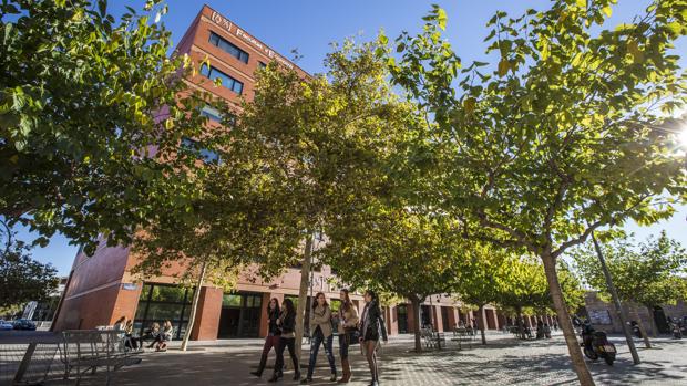 La Universitat de València i la Politècnica, entre les cent més ...