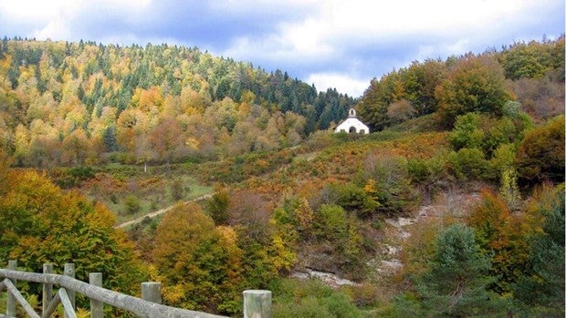 Otoño de rojos y ocres en los bosques del norte de España