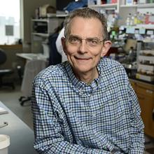 El origen del párkinson está en el intestino