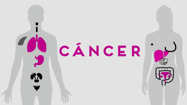 La mitad de los hombres y una de cada tres mujeres sufrirán cáncer en ...