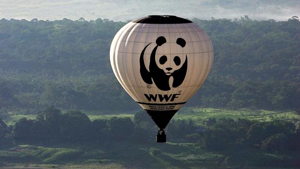 WWF on emaze
